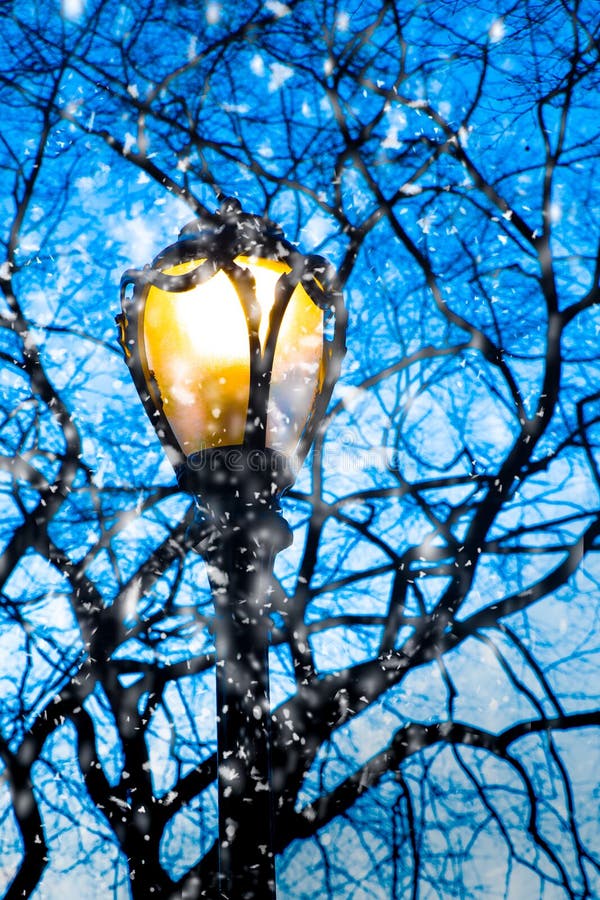 Lamp Post and Tree Branches on Snowy Night Stock Image - Image of dark ...