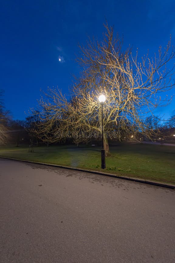 Lamp Post by a Tree in a Park at Night.. Stock Image - Image of ...