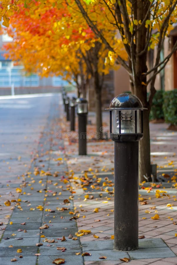 Lamp Posts Line a Sidewalk with Fall Foliage Stock Image - Image of ...
