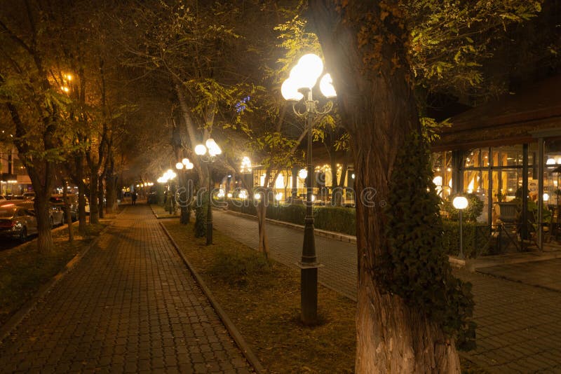 Lamp Posts Next To Sidewalks Stock Image - Image of tree, lamp: 263721877