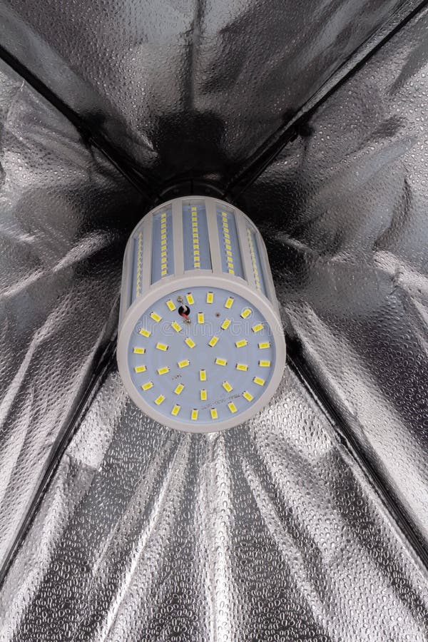 Lamp Studio Light Close Up Soft Box Isolated on White Background Stock ...