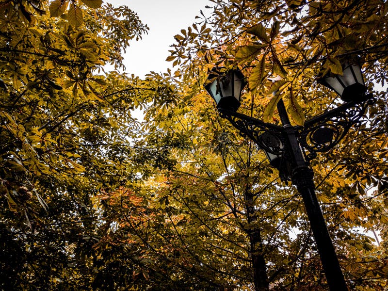 A Lamp between Trees at Autumn Stock Photo - Image of autumn, trees ...