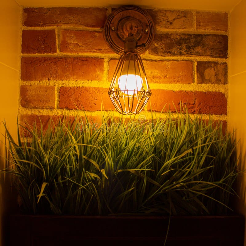 Lamp under the green grass stock image. Image of lamp - 214570335