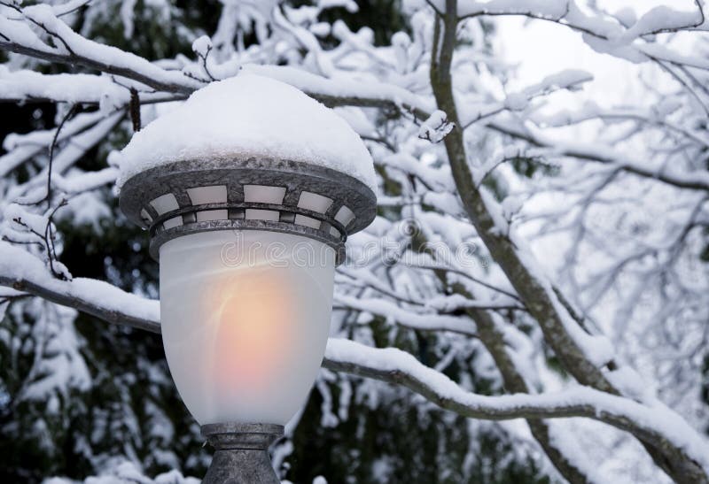 Lamplight in snow stock photo. Image of lamppost, trees - 7580074