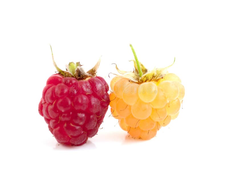 Lampone fotografia stock. Immagine di chiusura, consumo - 14846714
