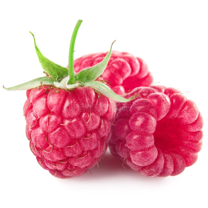 Lamponi immagine stock. Immagine di peloso, alimento - 38011697