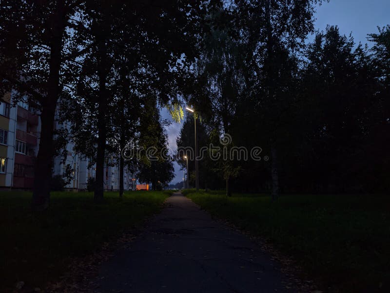 Lamppost Light Illuminates the Path at Night. Stock Photo - Image of ...