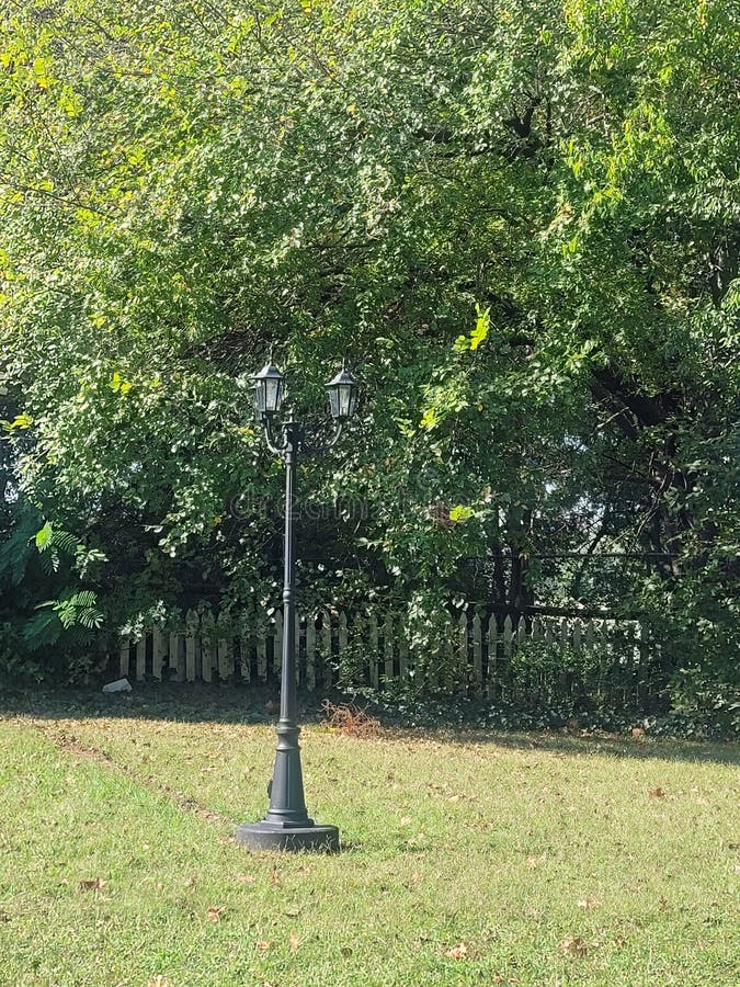Lamppost with Three Lamps in Green Yard with Trees Stock Image - Image ...
