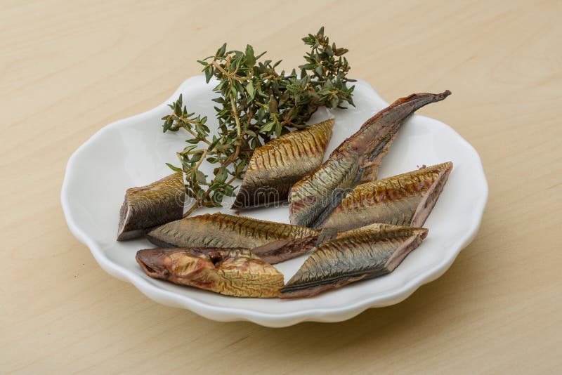 Lamprei stock afbeelding. Image of gewervelde, plaat - 51004553