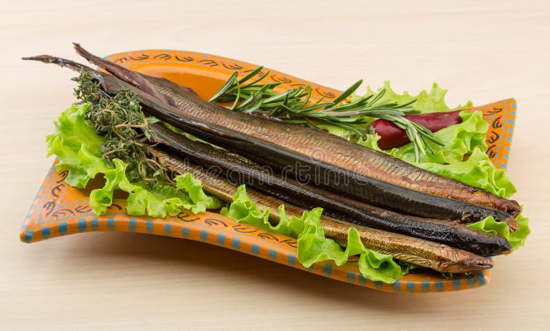 Lamprei stock foto. Image of vissen, tanden, vers, product - 51681254