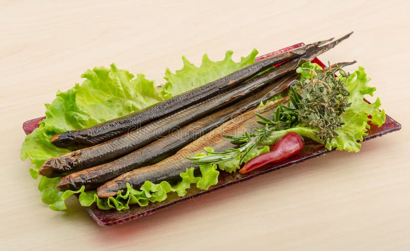 Lamprey stock image. Image of river, plate, toast, seafood - 51004733