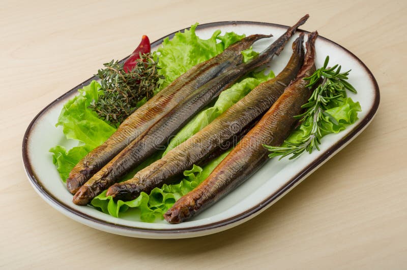 Lamprey stock photo. Image of lamprey, teeth, refreshment - 51248580