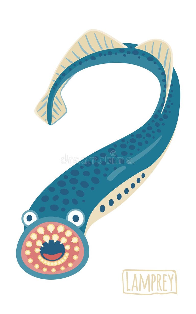 Lamprey Stock Illustrations – 207 Lamprey Stock Illustrations, Vectors ...