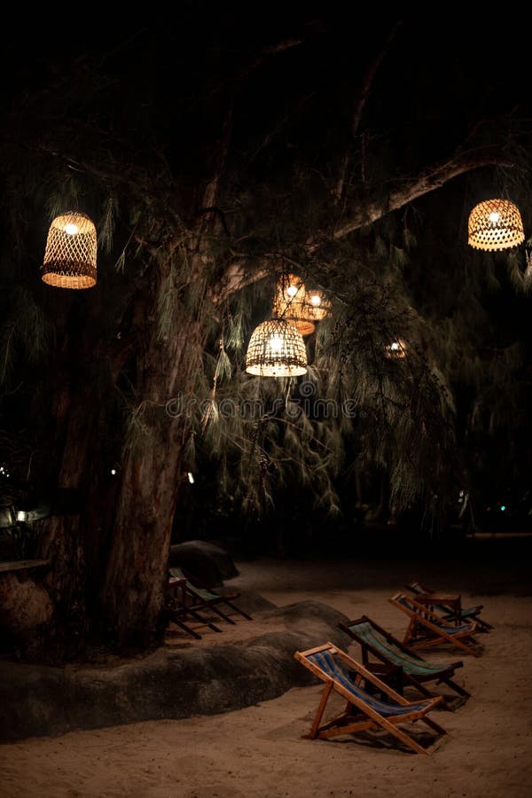 Lamps on a Tree. Beautiful Lampshades. in the Trees Stock Image - Image ...