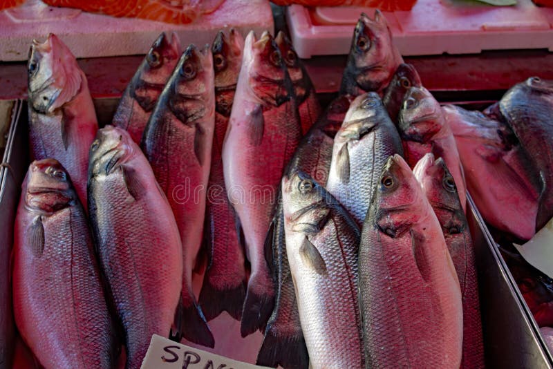 Lampuki En El Mercado De Pescados Foto de archivo - Imagen de pescados ...