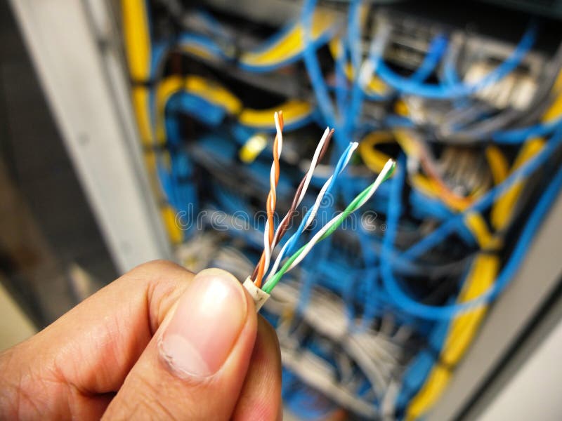 The LAN cable stock photo. Image of business, virus - 316083278