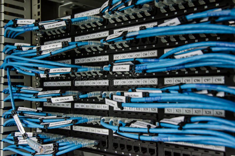 Lan Cable Connect To Network Switch for Internet or Ethernet Stock ...