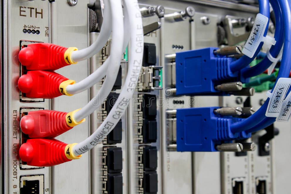 Lan Cable Plug in Ethernet Device Rack Stock Image - Image of rack ...