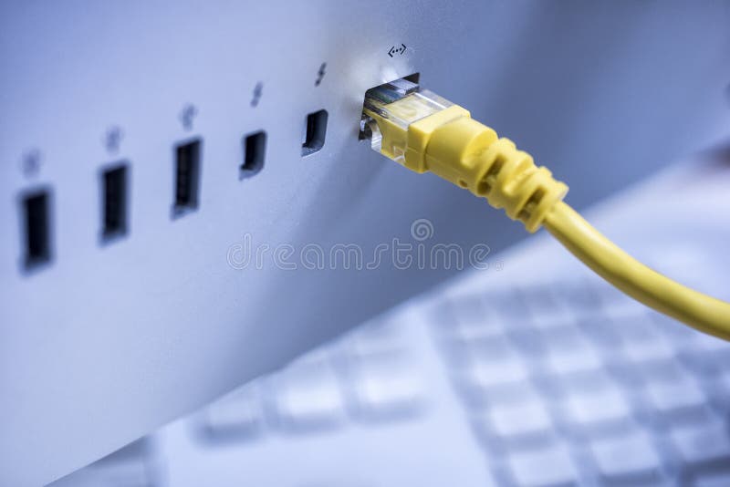 The LAN cable stock photo. Image of cable, macro, connect - 120884066