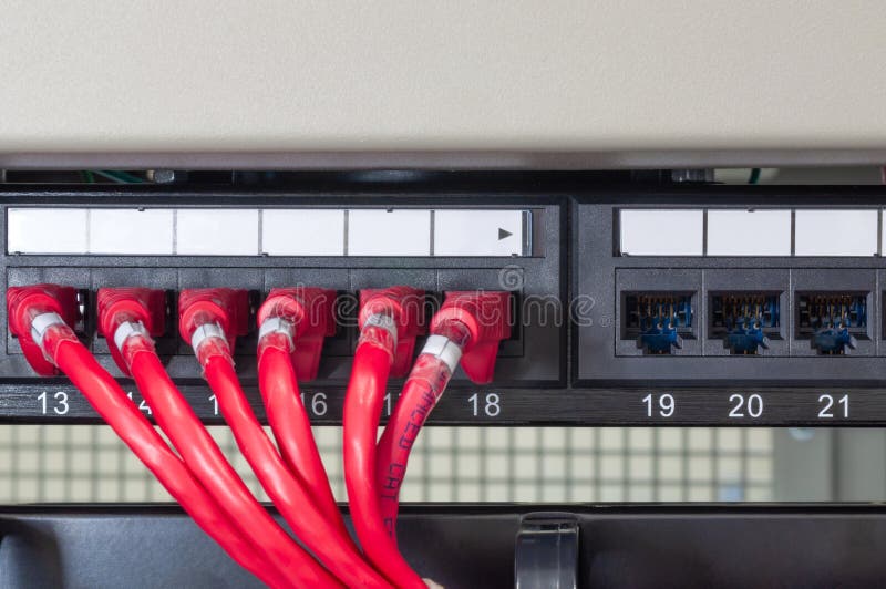 LAN Cables Securely Connected in Patch Panel for Network Communication ...