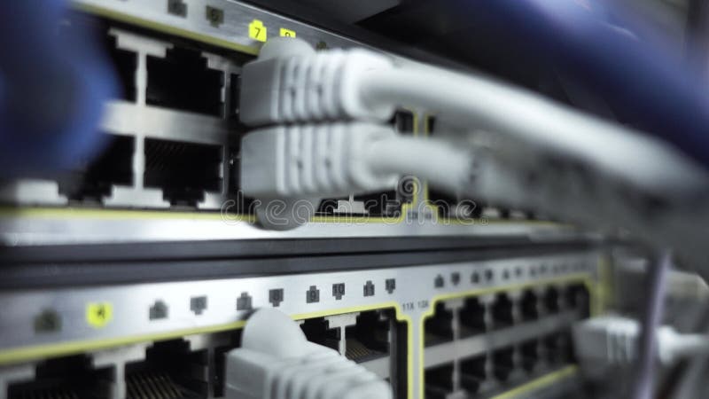 Lan Close Up. Router with Ethernet Cables in Network Wan Server Close ...