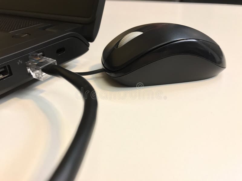 LAN connector stock image. Image of click, mouse, peripheral - 84092457