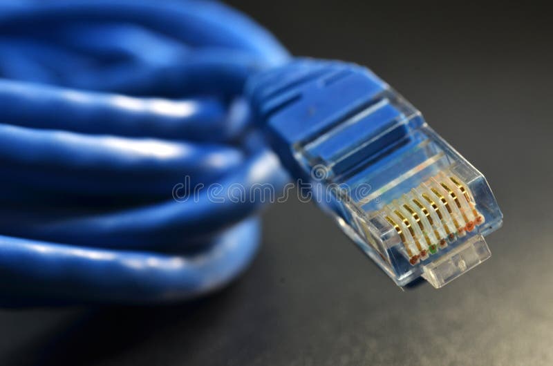 LAN Network Connection Blue Cable Stock Image - Image of computer ...