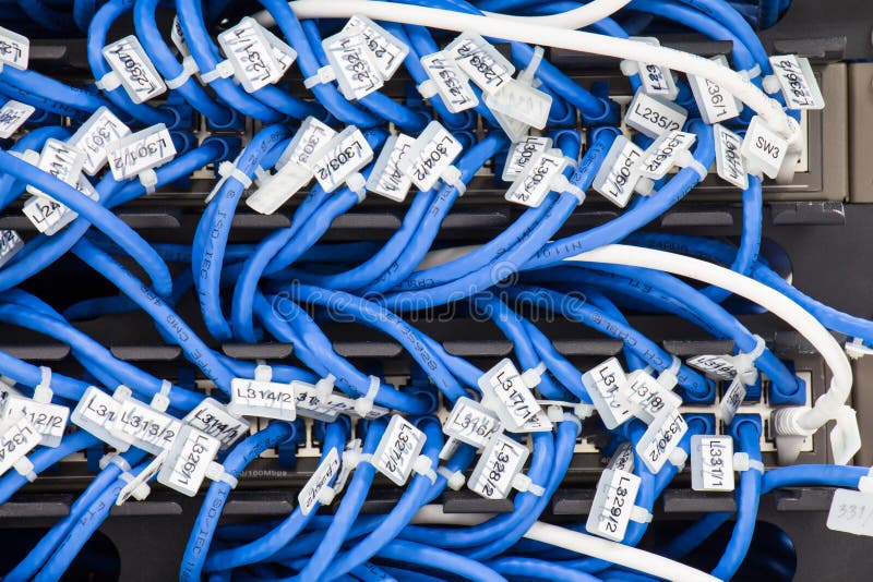 Lan panel switch stock photo. Image of social, wiring - 40574496