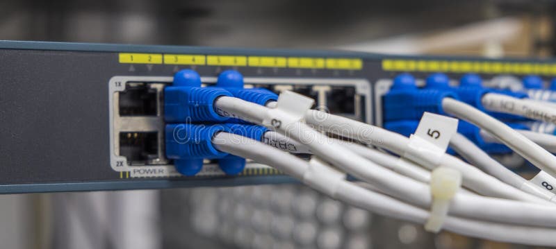 Lan Utp Cable Plug in Network Switch Stock Photo - Image of digital ...