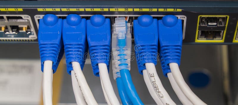 Lan Utp Cable Plug in Network Switch Stock Photo - Image of servers ...