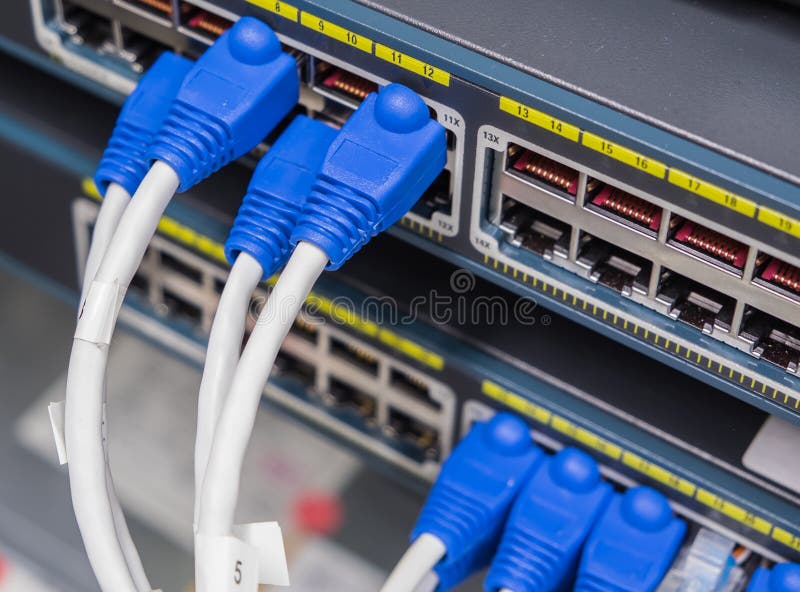Lan Utp Cable Plug in Network Switch Stock Photo - Image of digital ...