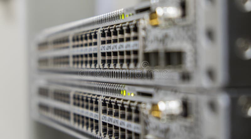 Lan Utp Cable Plug in Network Switch Stock Image - Image of cable ...