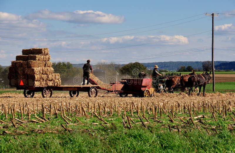 Lancaster County, PA: Amish Working Fields Editorial Photography ... Lancaster County, PA: Amish Working Fields Editorial Photography ...
