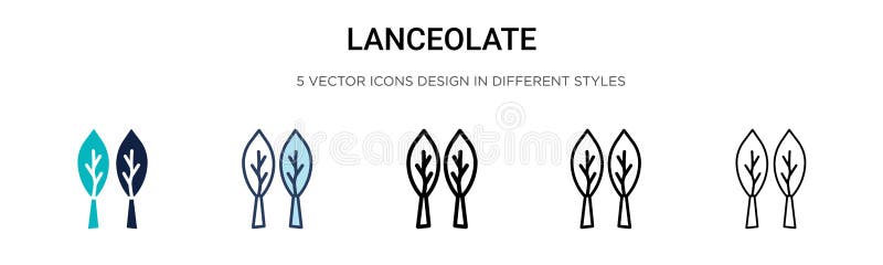 Lanceolate Icon in Filled, Thin Line, Outline and Stroke Style. Vector ...