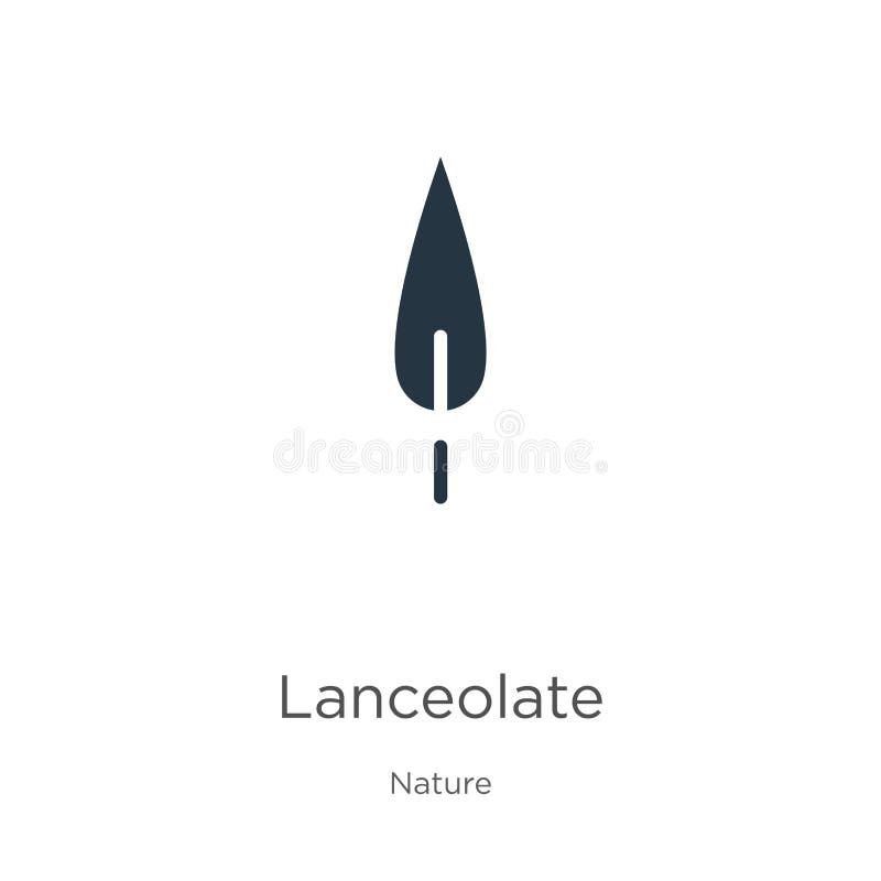Lanceolate Vector Stock Illustrations – 287 Lanceolate Vector Stock ...