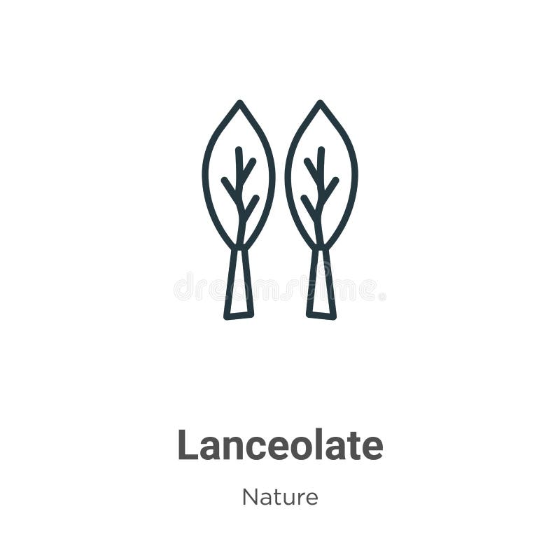 Lanceolate Maple Leaf Flat Icon Stock Vector - Illustration of black ...