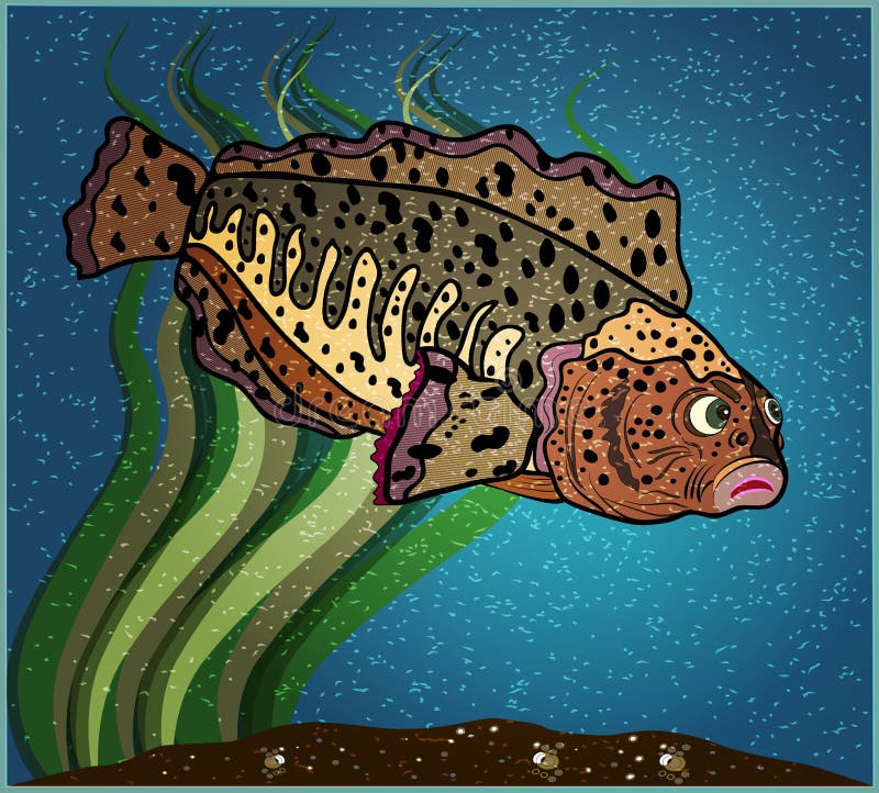 Lancet fish stock vector. Illustration of algae, eyes - 40313172