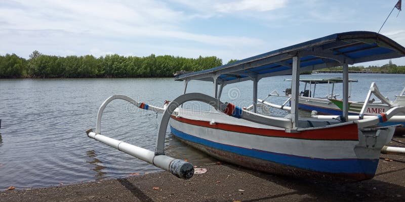 Lancha Motora Con Ecosistema De Manglar Foto de archivo - Imagen de ...