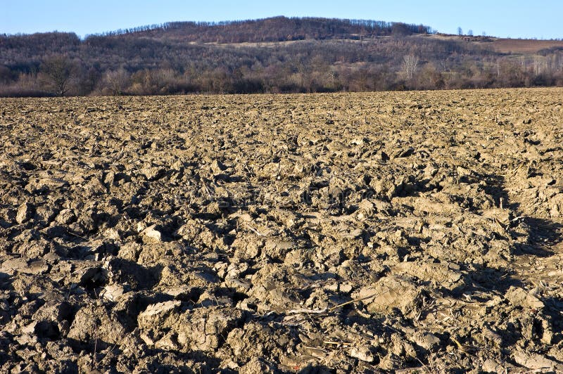 Land stock image. Image of planting, tillage, land, fertility - 13433179