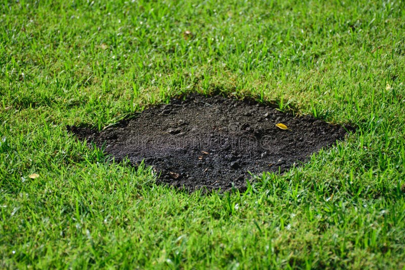 Land Area stock image. Image of land, grass, farm, area - 44111131