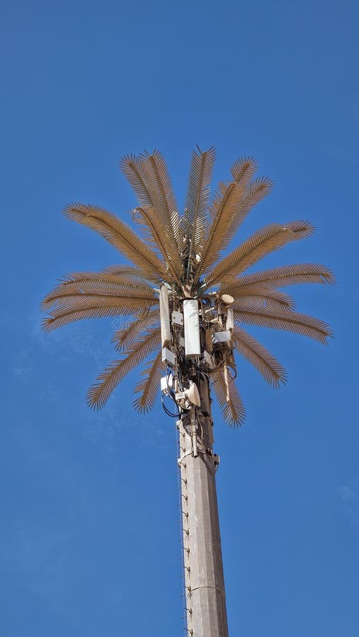 Land Base Station Egypt Palm Tree Shape Stock Photos - Free & Royalty ...
