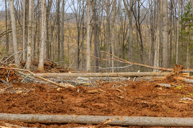 Land Cleared in Forest for New Home Construction Stock Image - Image of ...