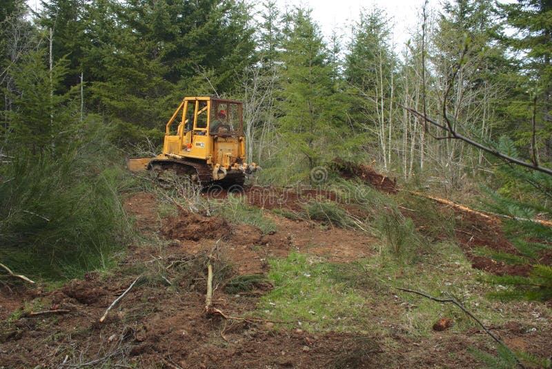 Land Clearing stock image. Image of lumber, logging, timber - 6325997