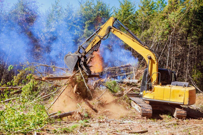 In Land Clearing for Construction Leads To Burning of Uprooted Trees ...