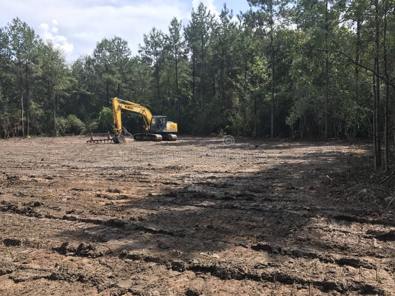 Land Clearing and Logging Timber Editorial Stock Photo - Image of ...