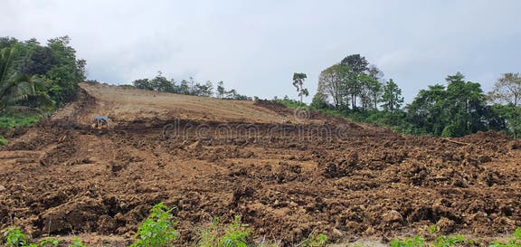 Land Clearing is in Progress by Dozer Stock Photo - Image of heavy ...