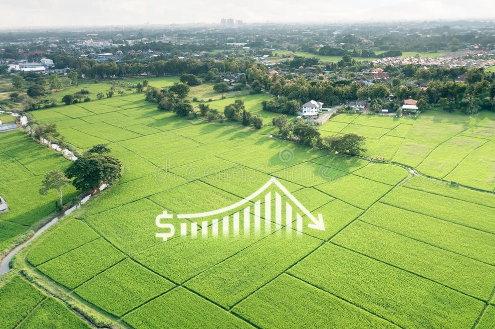 Land and Concept of Value To Decrease, Reduction or Low Stock Photo - Image of land, pollution ...