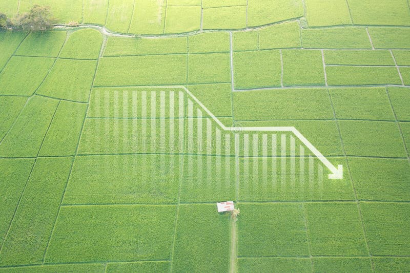 Land and Concept of Value To Decrease, Reduction or Low Stock Photo ...