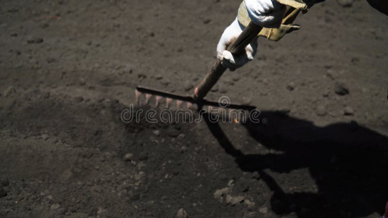 Land Cultivation Seasonal Worker Farm Tractor Plowing Field Stock Photo ...
