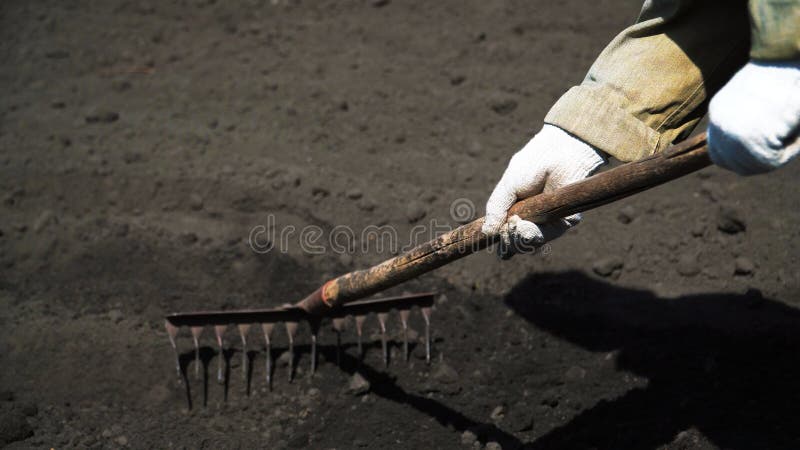 Land Cultivation with Hand Tools Stock Photo - Image of garden, black ...